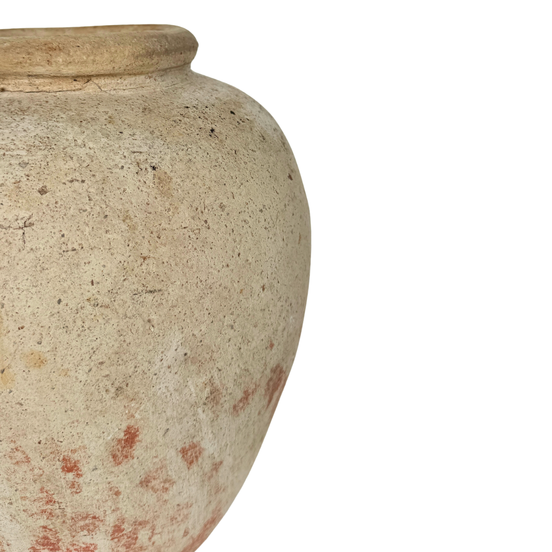 BANANA LEAF DISH – HELLO TRADER