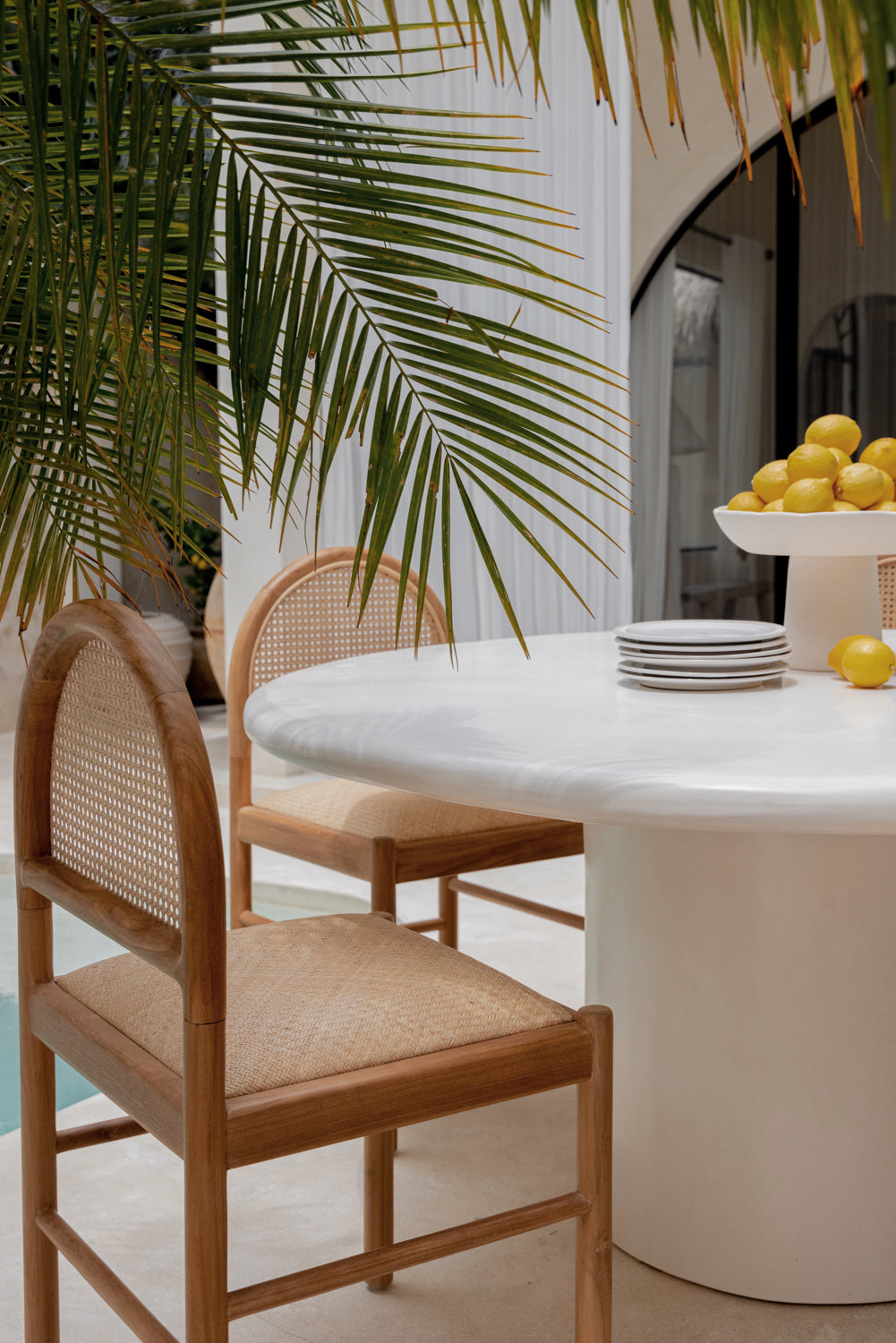 THE PALMA DINING CHAIR – HELLO TRADER