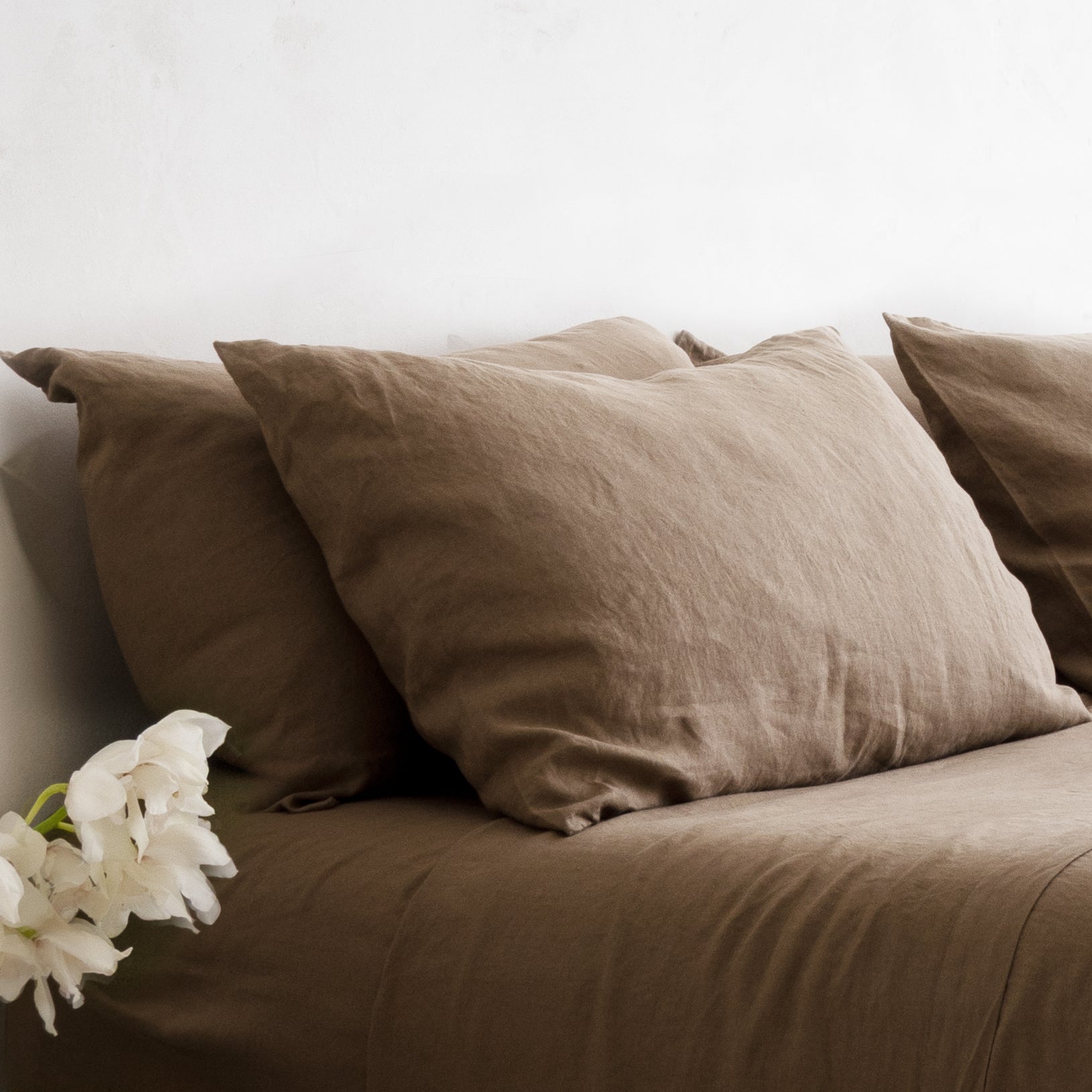 Products – HELLO TRADER